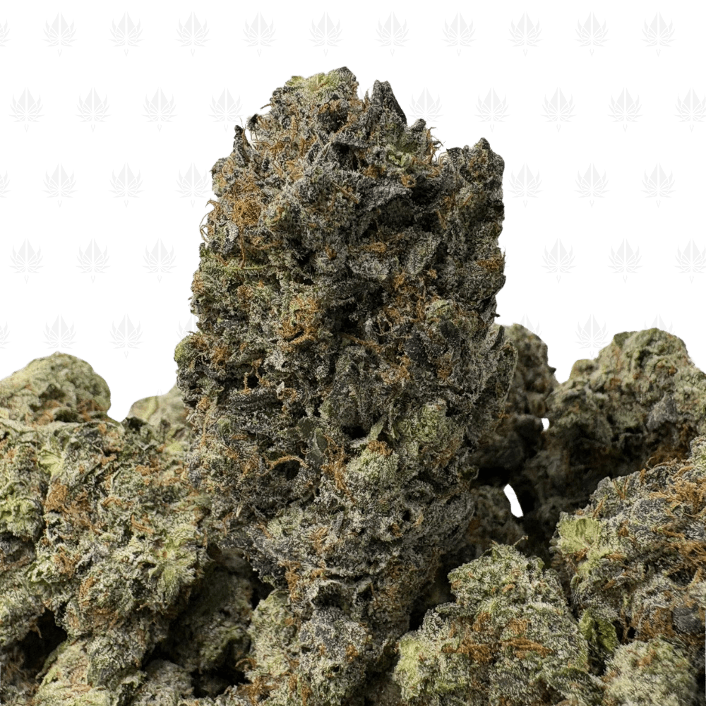 PLATINUM ROCKSTAR (BIGS) - QUAD GAS - WeedPosters.io