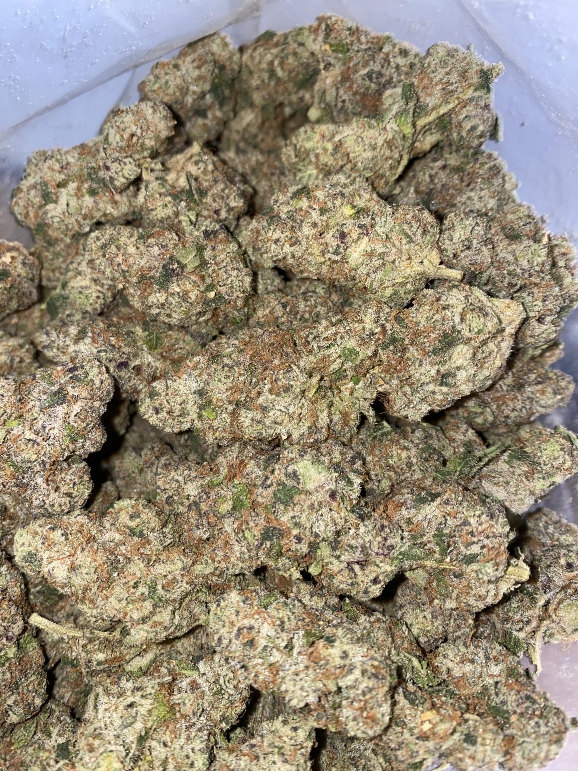 TROPICAL FALCON (EXOTIC QUAD DEAL) - WeedPosters.io