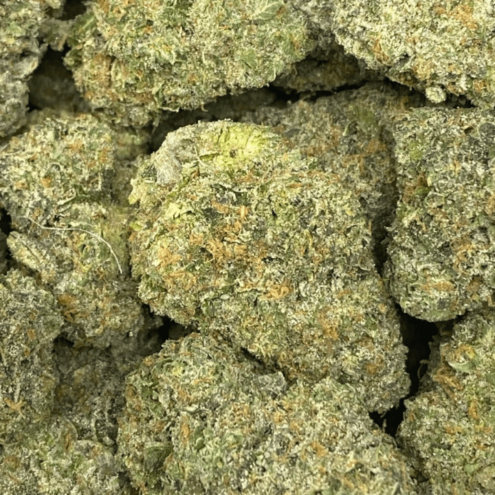 CHAMPAGNE GELATO (EXOTIC DEAL) - WeedPosters.io