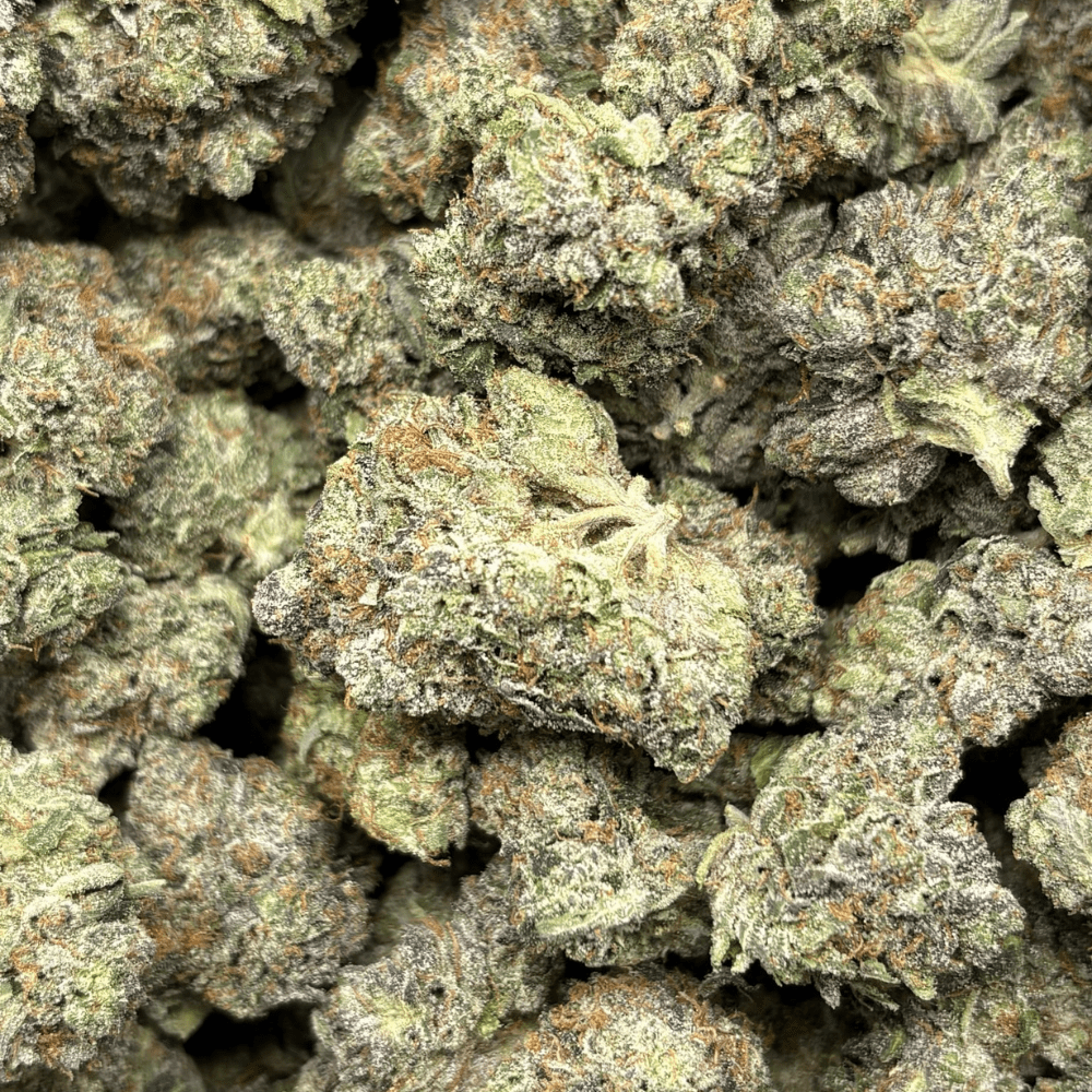 BLACK OPS MK ULTRA (BIGS) - QUAD GAS - WeedPosters.io