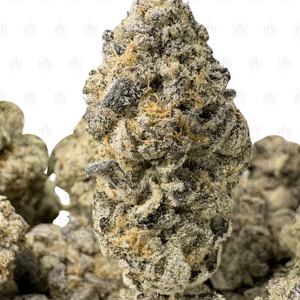 112G LSO EXOTIC MIX & MATCH (28GX4) - WeedPosters.io