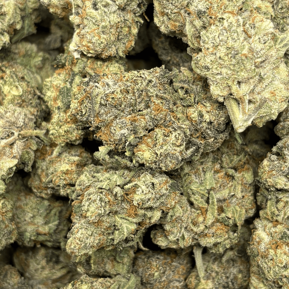 FRESH WATER BISCOTTI LSO (LSO EXOTICS) - WeedPosters.io