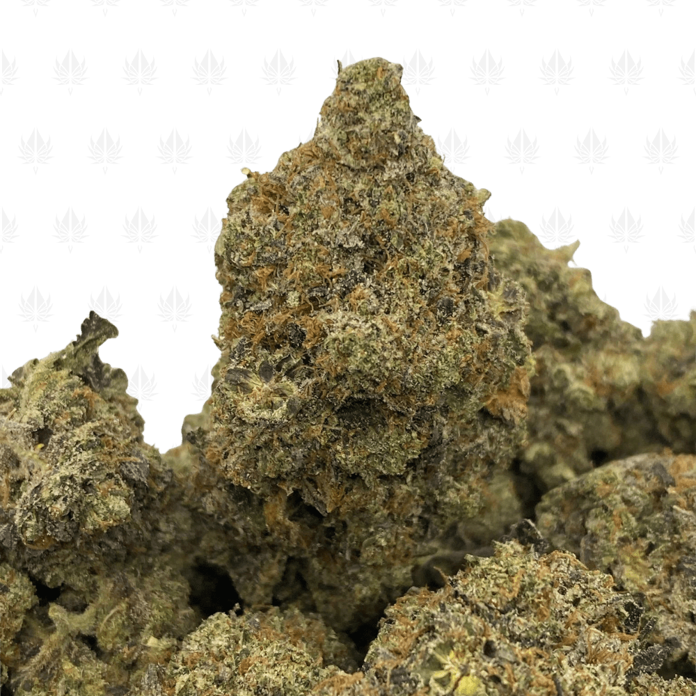PRESIDENT PINK (QUAD GAS) - WeedPosters.io