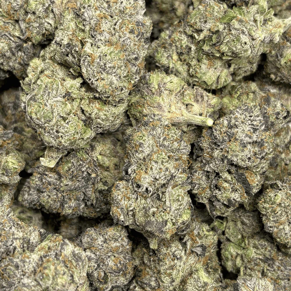 PINK PABLO (QUAD GAS) - WeedPosters.io