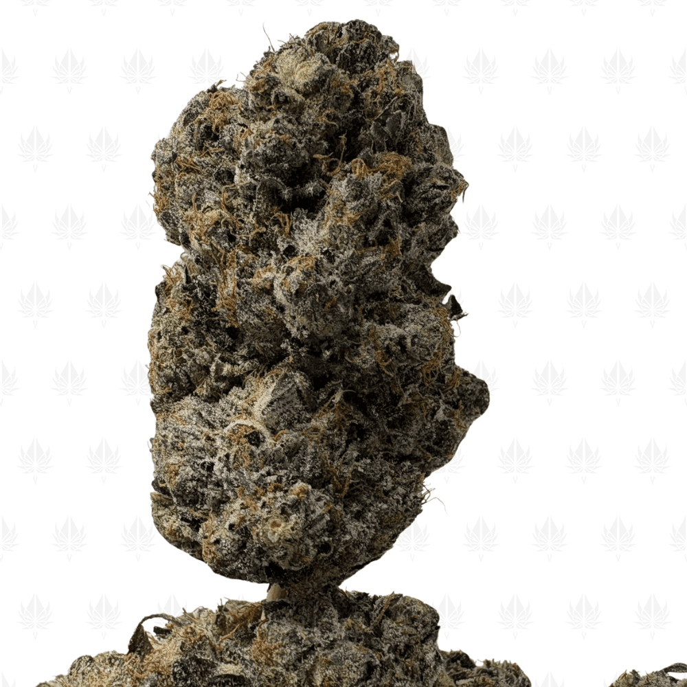 PINK PABLO (QUAD GAS) - WeedPosters.io