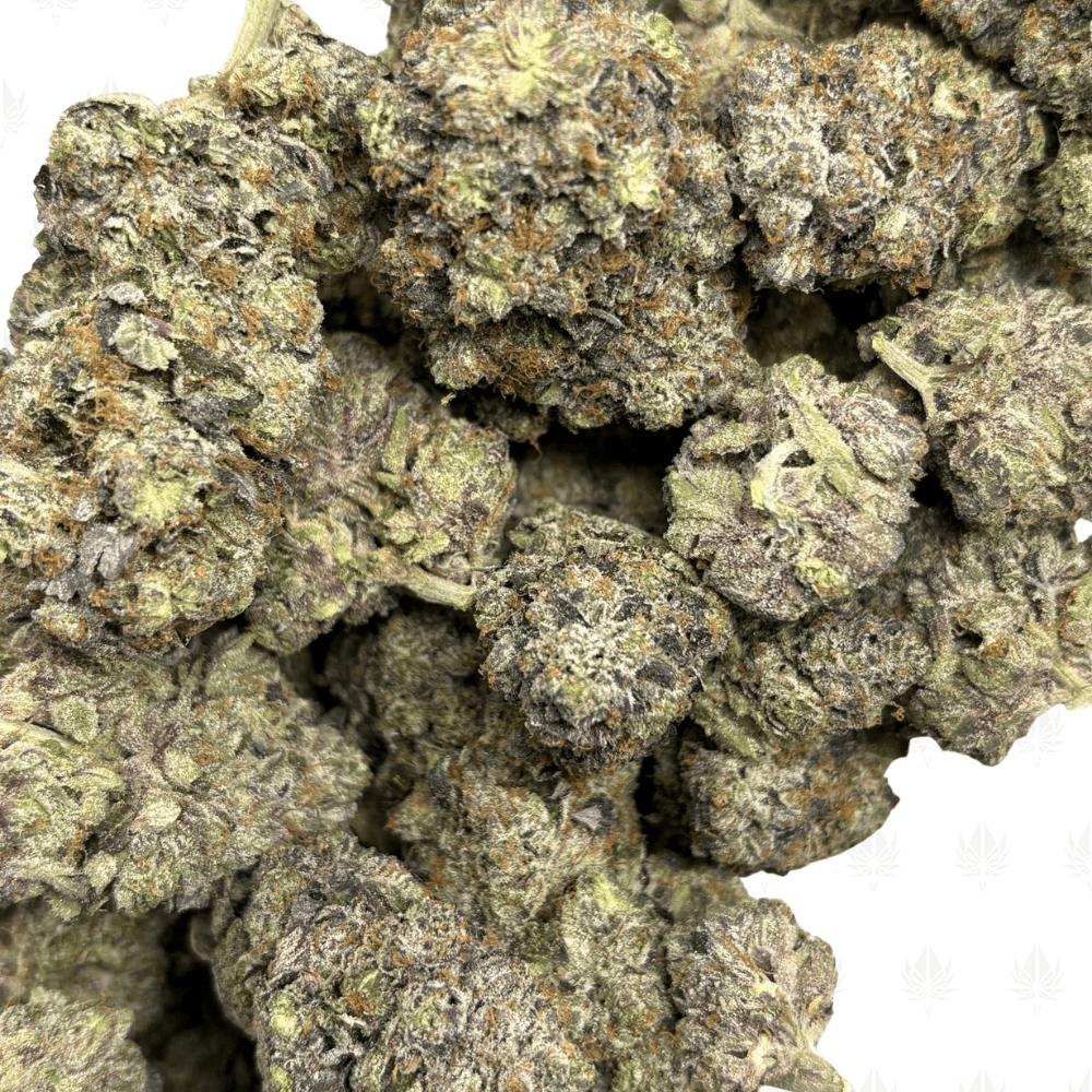 PINK PABLO (QUAD GAS) - WeedPosters.io