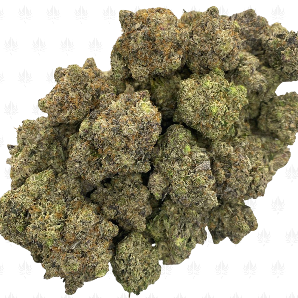 MOTOR OIL (QUAD GAS) - WeedPosters.io