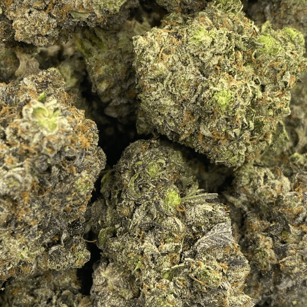 MOTOR OIL (QUAD GAS) - WeedPosters.io