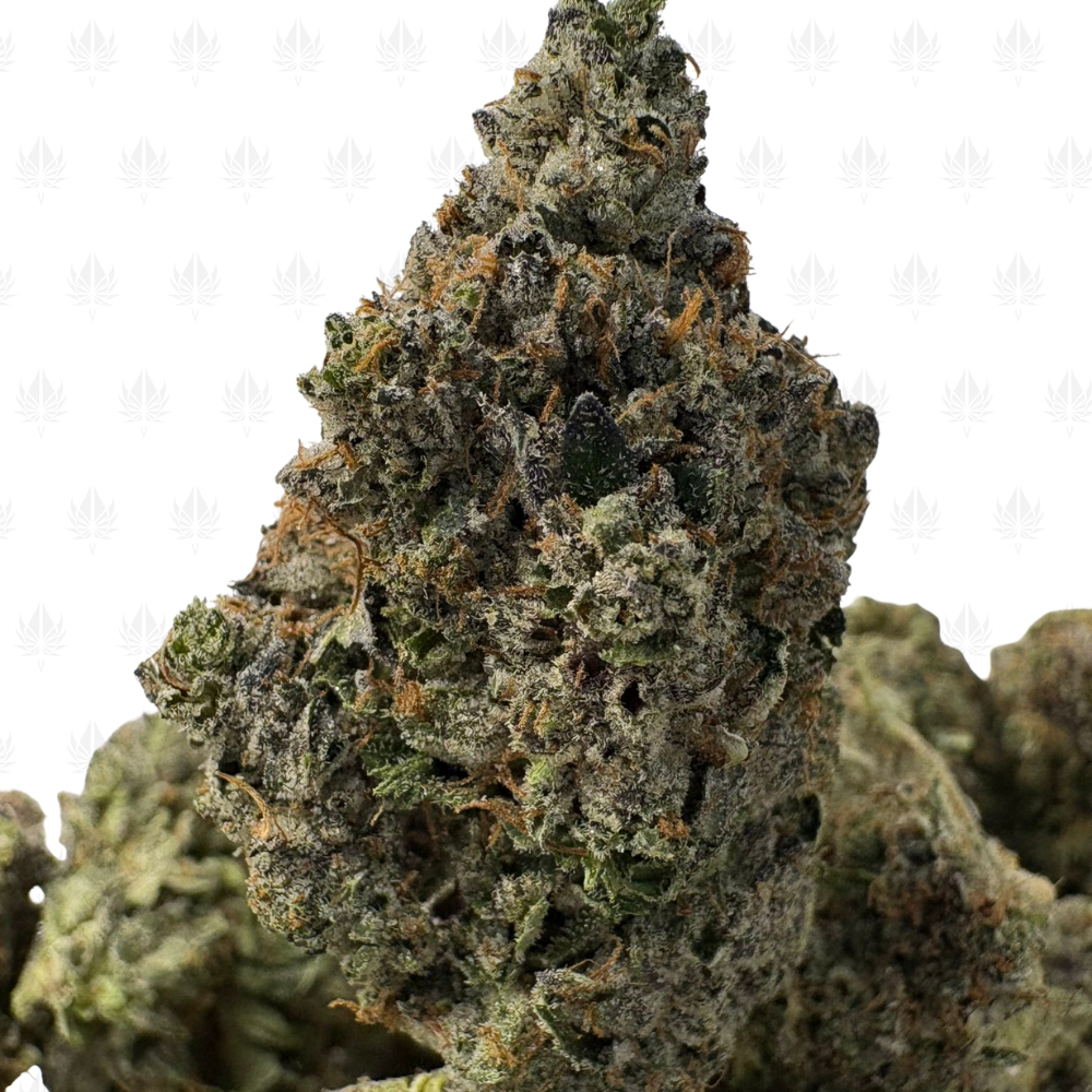 PINK ROCKSTAR (BIGS) - QUAD GAS - WeedPosters.io